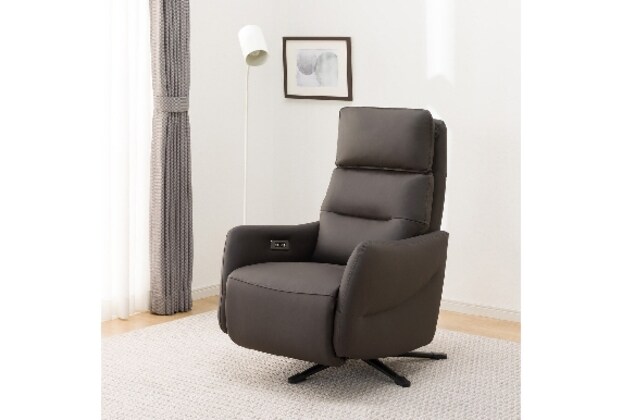 2Mﾃﾞﾝﾄﾞｳﾊﾟｰｿﾅﾙ LE01-2 DBR通販 | ニトリネット【公式】 家具・インテリア通販