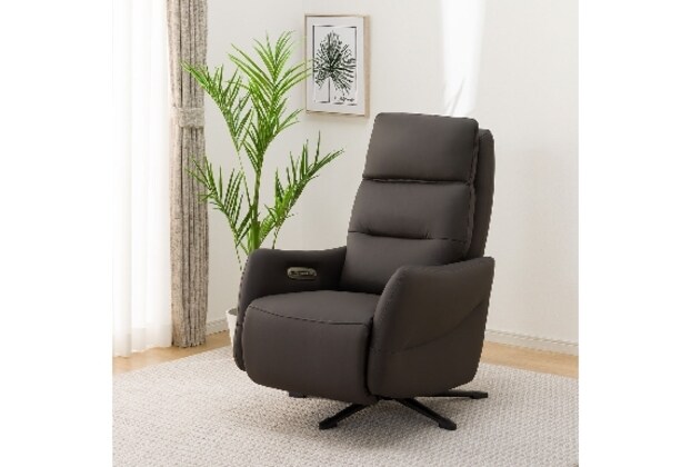 4Mﾃﾞﾝﾄﾞｳﾊﾟｰｿﾅﾙ LE01-2 DBR通販 | ニトリネット【公式】 家具・インテリア通販