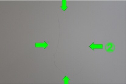 1PｽﾘﾑﾛｯｶｰｼﾘﾝﾀﾞｰTLK-S1S通販 | ニトリネット【公式】 家具・インテリア通販