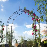 ニトリのガーデニング特集 | ニトリネット【公式】 家具・インテリア通販