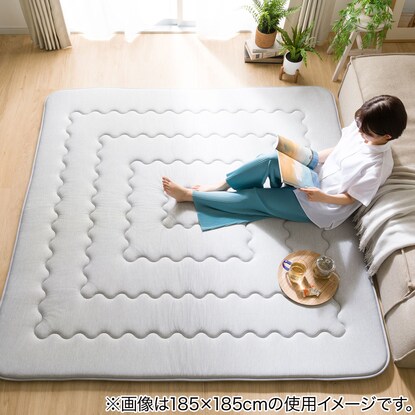 ウレタン入り洗える接触冷感ラグ(NクールSPフックラGY s185X240)通販 | ニトリネット【公式】 家具・インテリア通販