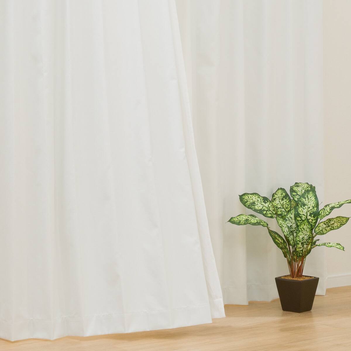1 155 RD062 150X170X2 RoomClip 1 155 RD062 150X170X2 RoomClip
