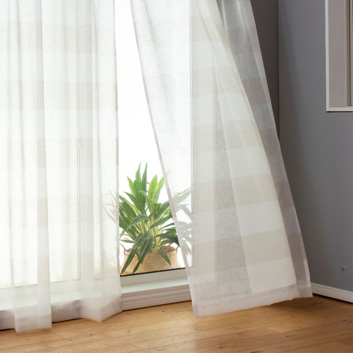 オーダーレース LVL7BE 2倍ヒダ(幅101-200/丈261-280cm)通販 | ニトリネット【公式】 家具・インテリア通販