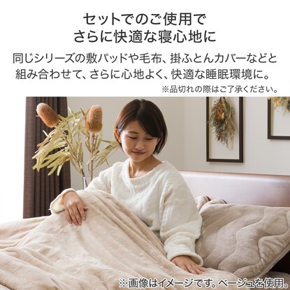 ピローパッド(NウォームSP A2211)通販 | ニトリネット【公式】 家具・インテリア通販